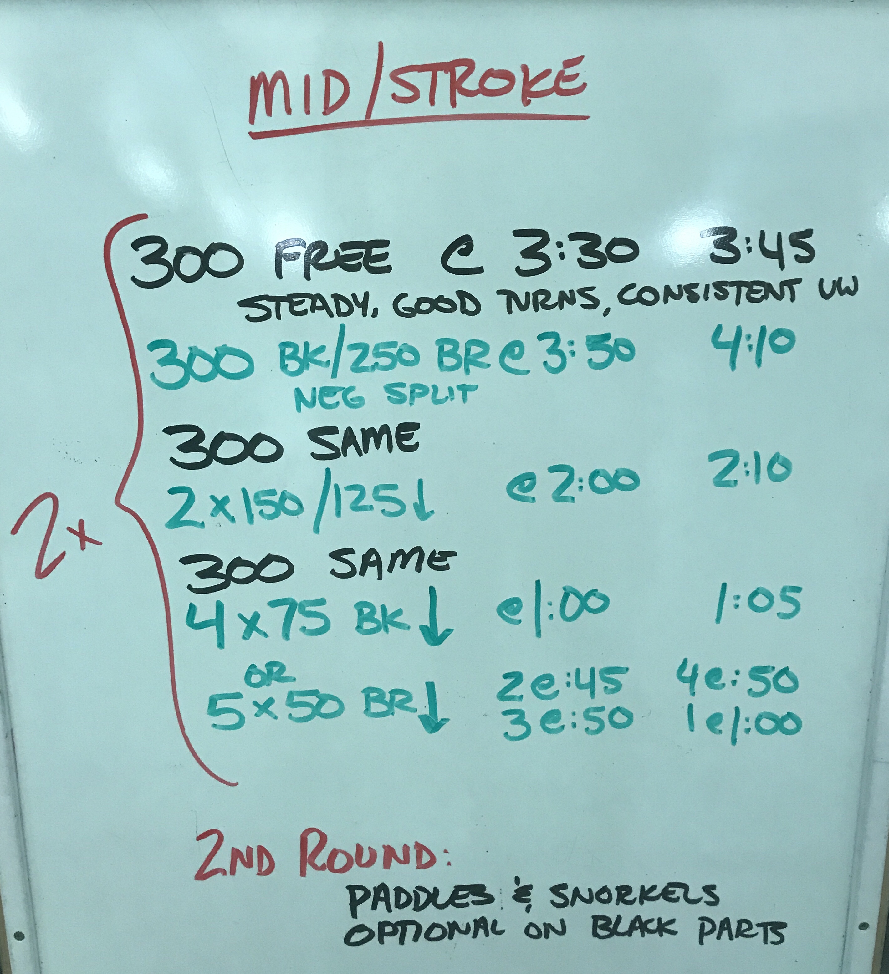 Middle Distance Free with Back or Breast – The Swimming Wizard