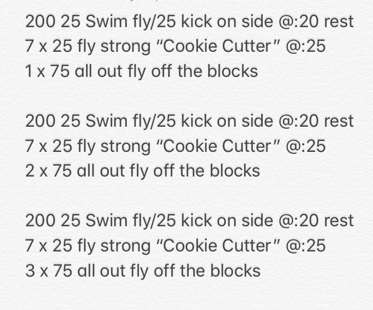 FLY IS AWESOME – The Swimming Wizard