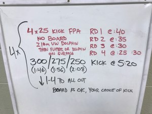 Kick Set for Varying Abilities – The Swimming Wizard