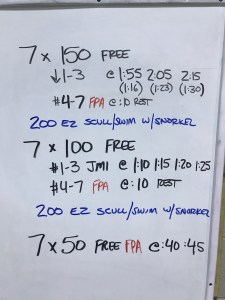 Threshold – The Swimming Wizard