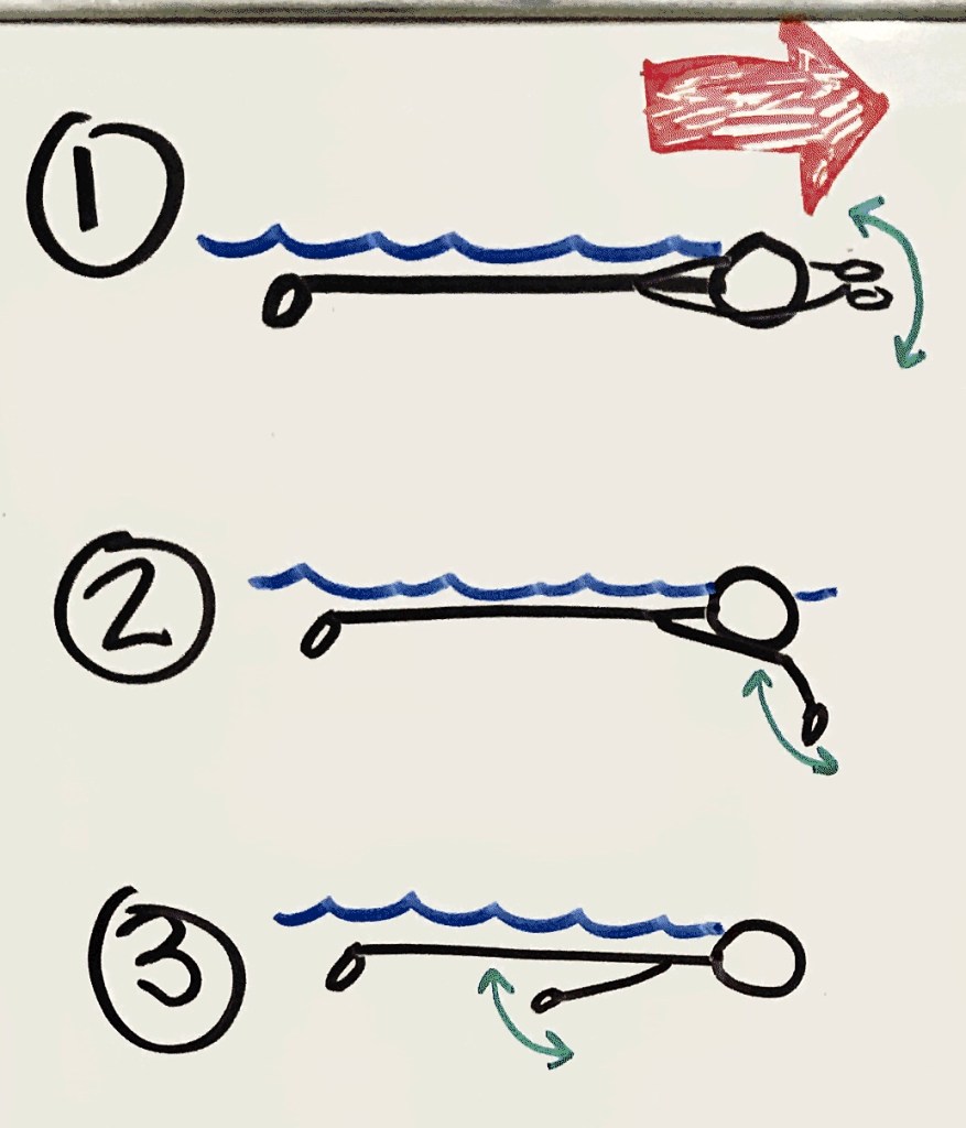 Some of our favorite sculling positions – The Swimming Wizard