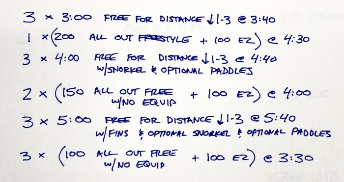 Freestyle Set for a Variety of Speeds – The Swimming Wizard