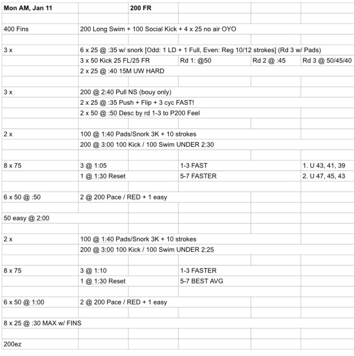 Race Pace – The Swimming Wizard