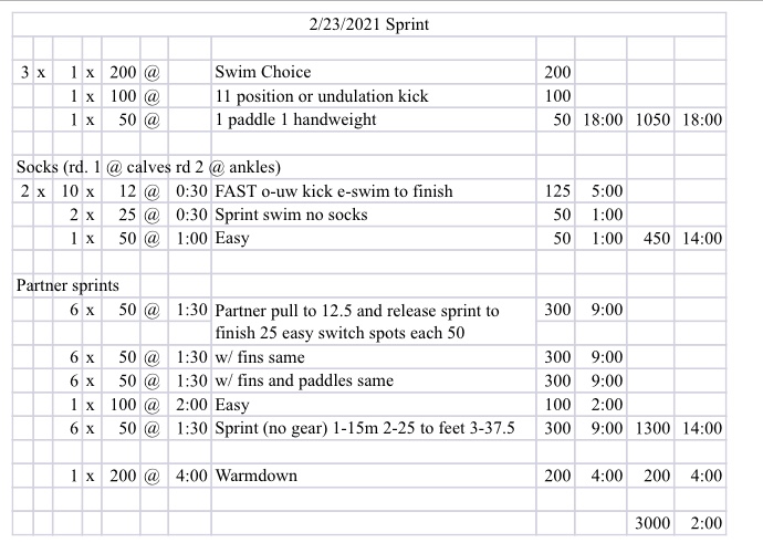 Speedy Sprint Set at the University of Rochester – The Swimming Wizard