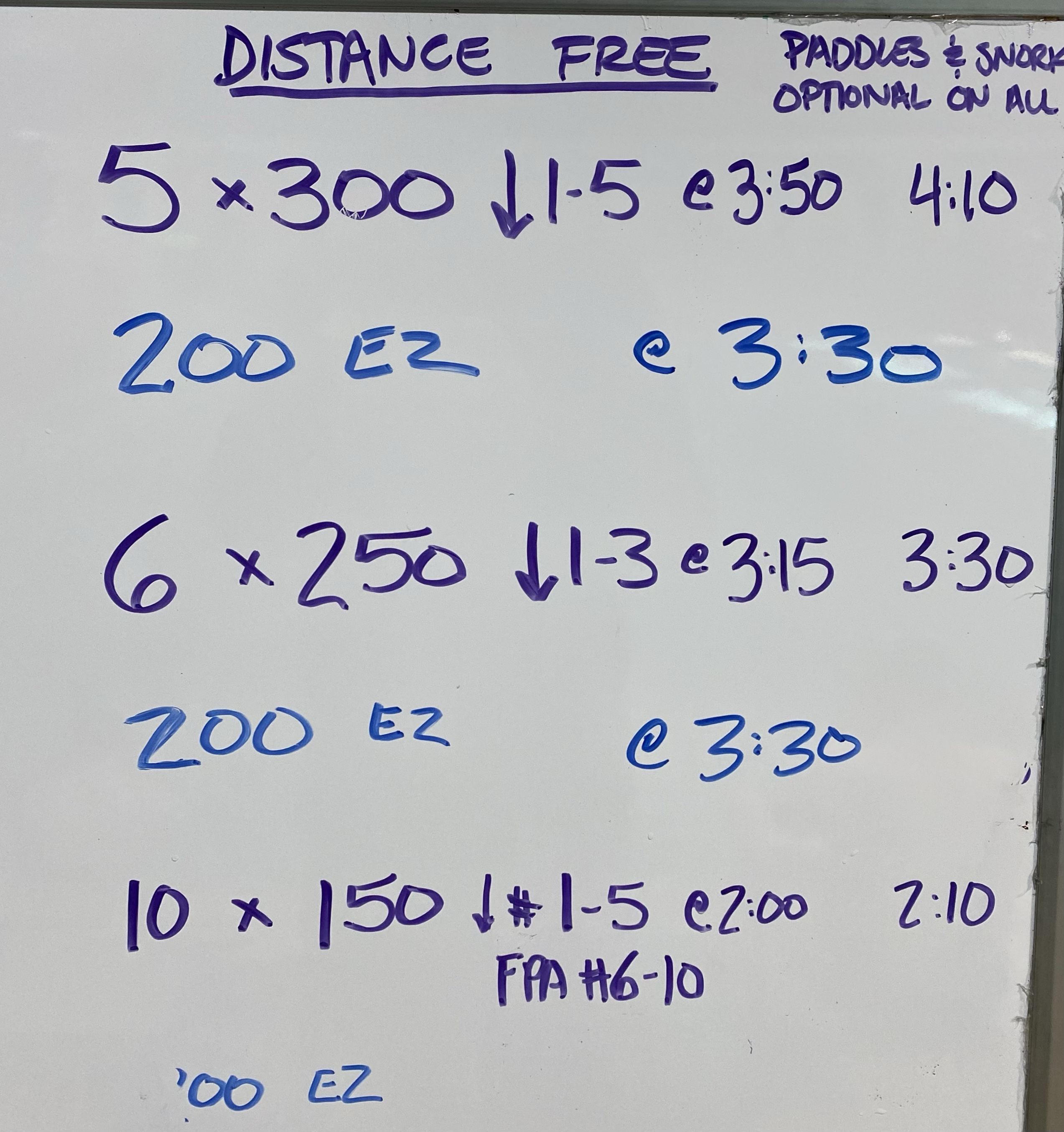 Distance – The Swimming Wizard
