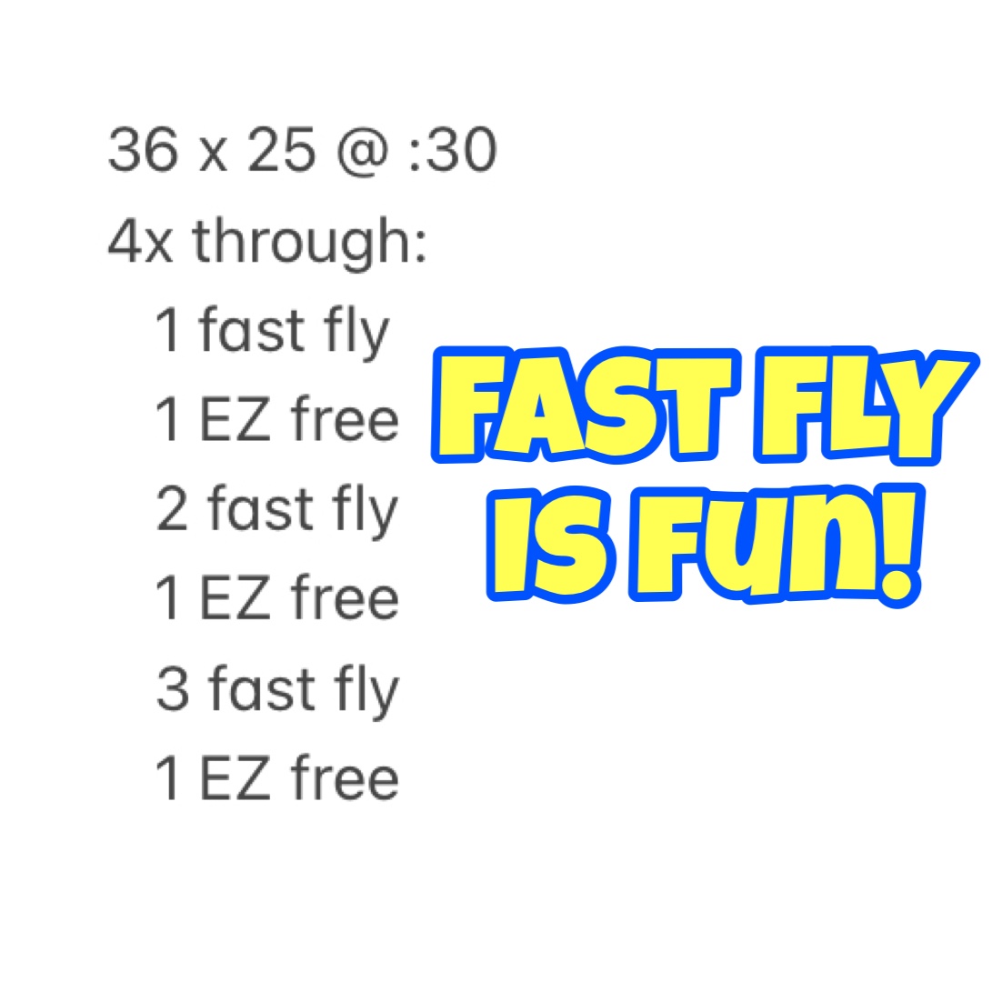 Fast Fly is Fun! – The Swimming Wizard