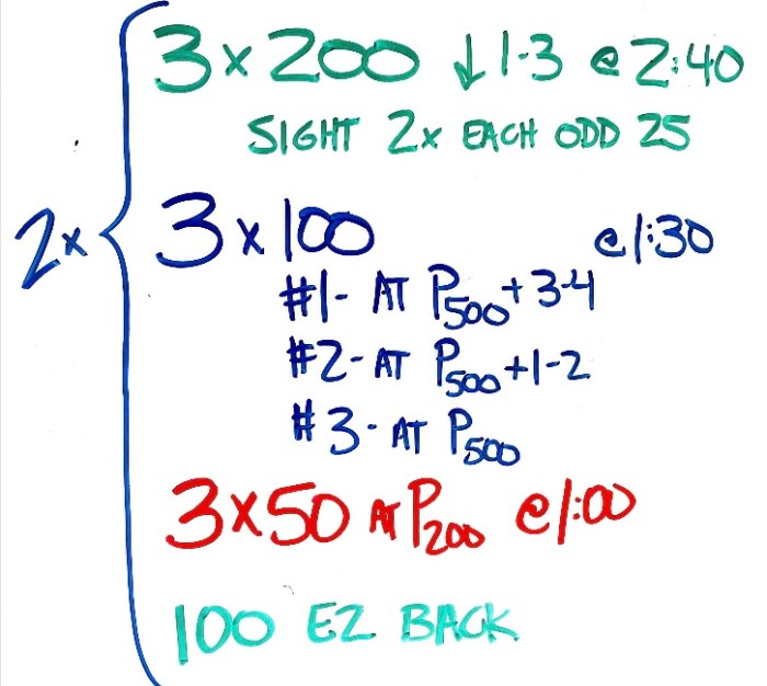 Race Pace – The Swimming Wizard