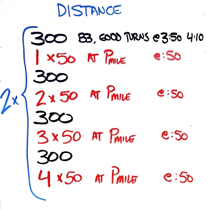 Distance – The Swimming Wizard