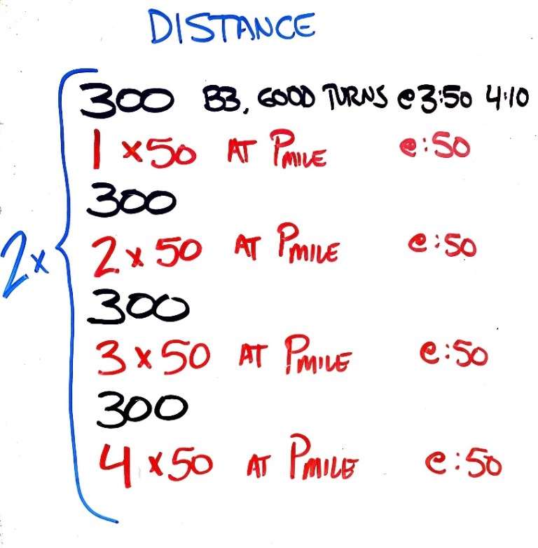Distance – The Swimming Wizard