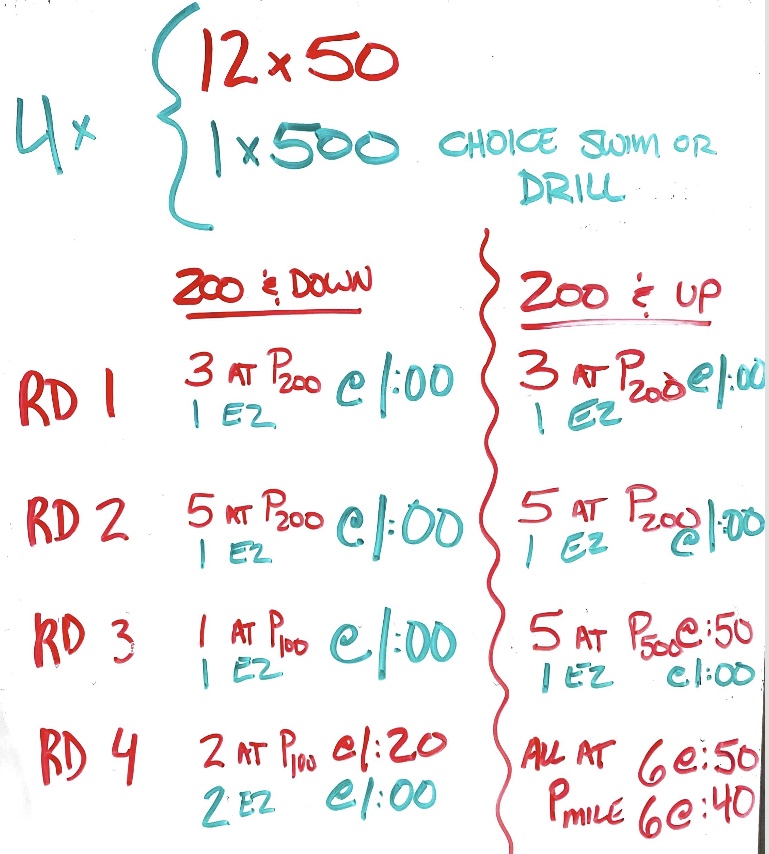 Race Pace Set For Split Group – The Swimming Wizard