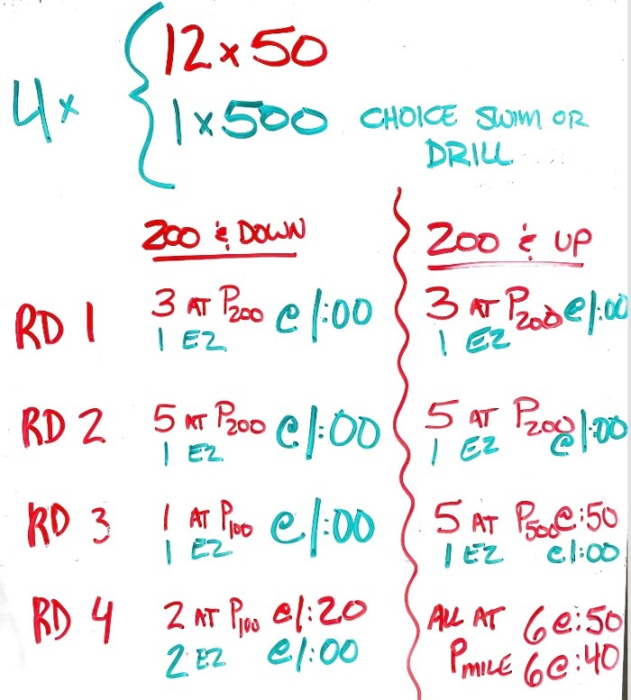 Race Pace – The Swimming Wizard