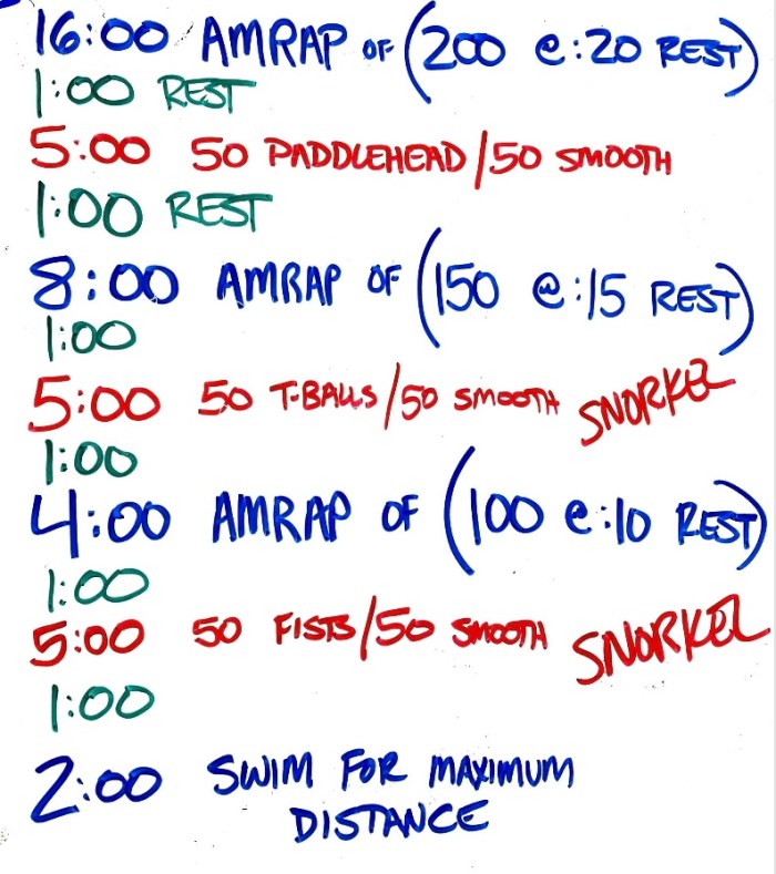 Distance – The Swimming Wizard