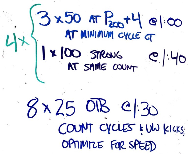 Speed – The Swimming Wizard