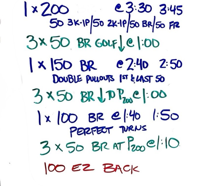 The Swimming Wizard: Distance Freestyle Set CAUTION! for Milers Only!