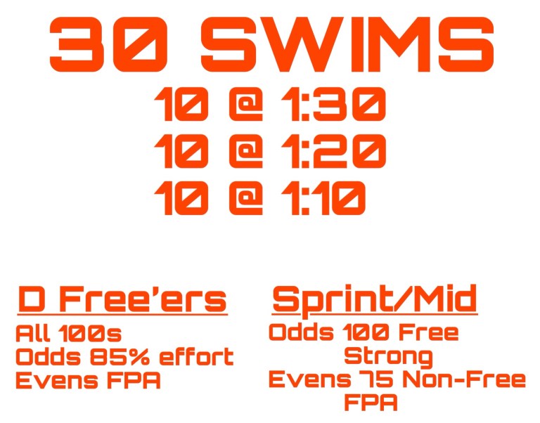 Freestyle – The Swimming Wizard
