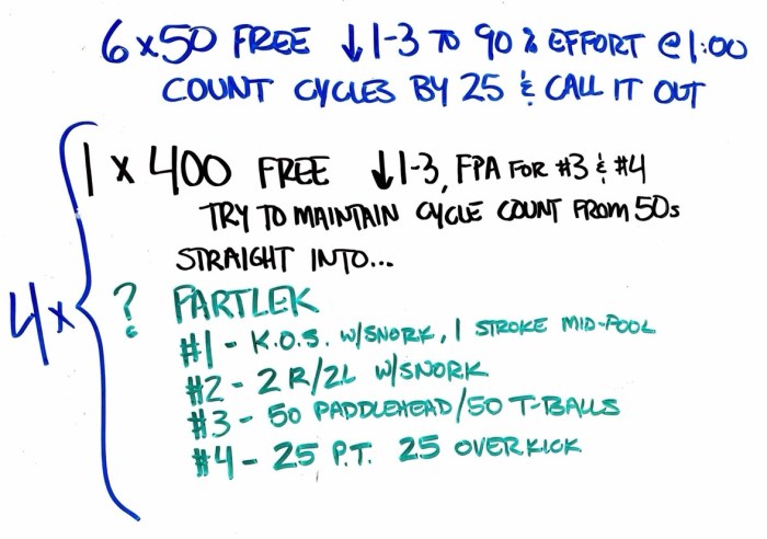 Freestyle – The Swimming Wizard