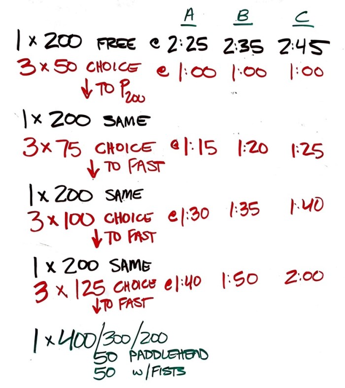 The Swimming Wizard: Distance Freestyle Set CAUTION! for Milers Only!