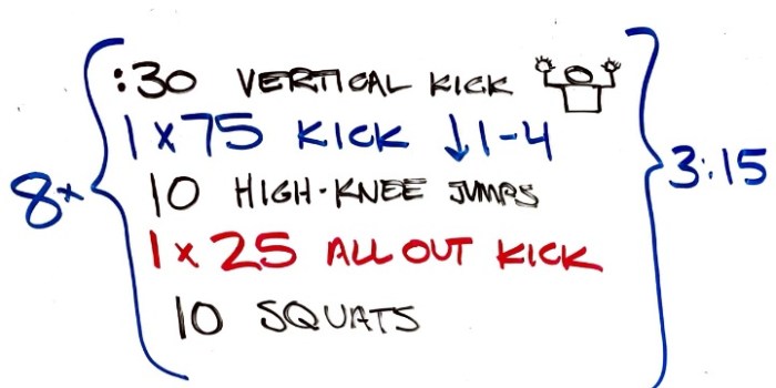 The Swimming Wizard: Distance Freestyle Set CAUTION! for Milers Only!