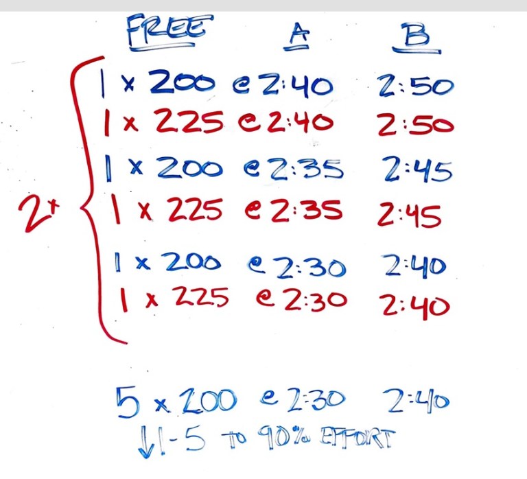 Freestyle – The Swimming Wizard