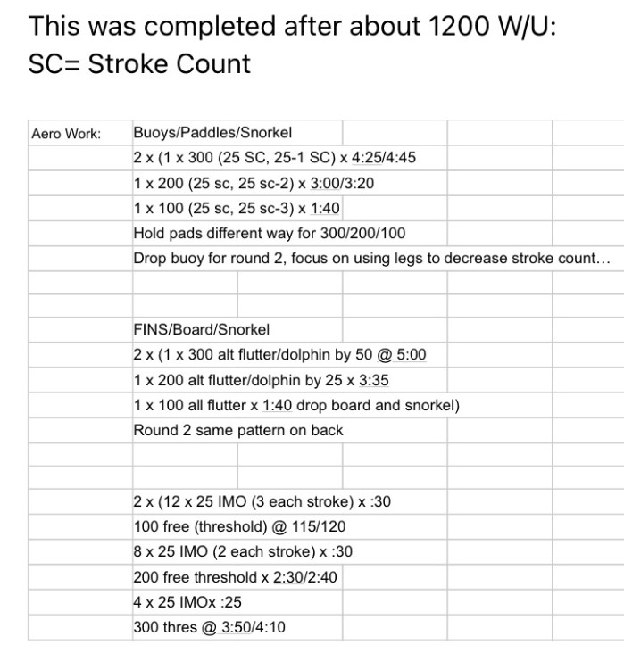 The Swimming Wizard: Distance Freestyle Set CAUTION! for Milers Only!