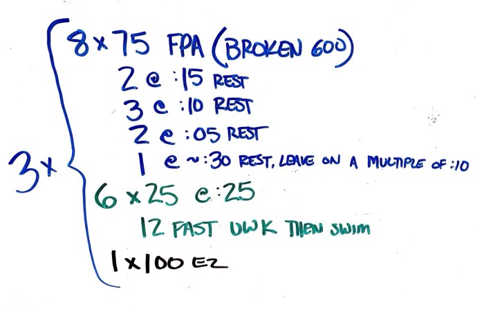 The Swimming Wizard: Distance Freestyle Set CAUTION! for Milers Only!