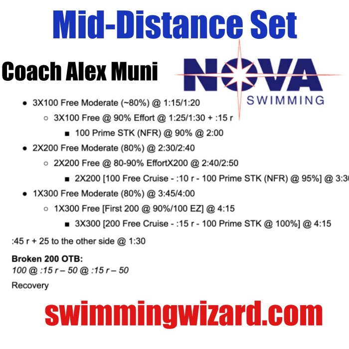 The Swimming Wizard – Free Swimming Workouts, Sets, Ideas, and Dryland ...