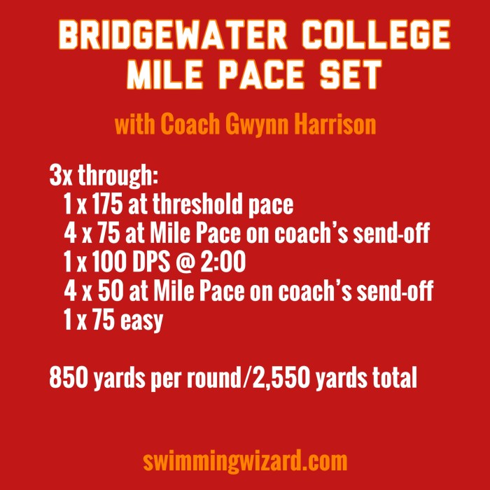 Distance – The Swimming Wizard