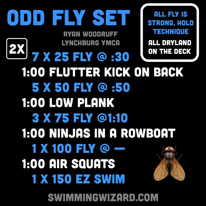 Odd Fly Set – The Swimming Wizard